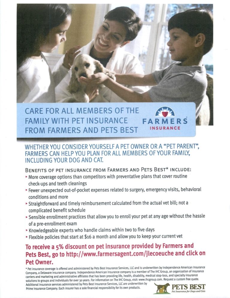 Pet Insurance - Care For All Members of the Family
